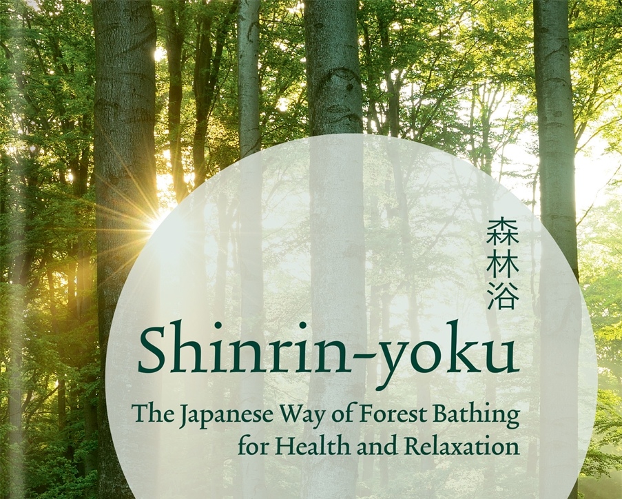 Shinrin-Yoku | Crystal Armony Studio